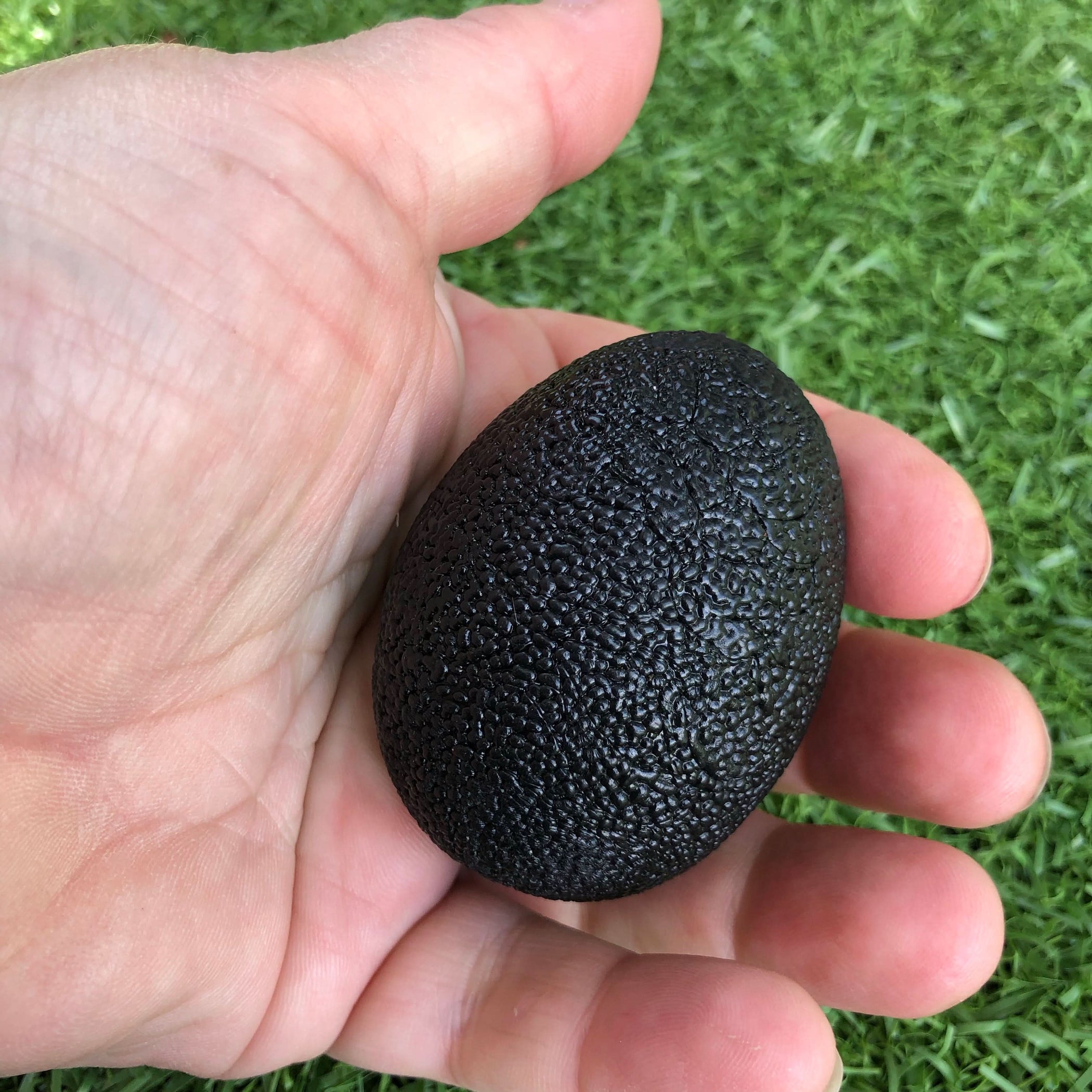 Set of 3 Egg Shaped Hand Grip Exerciser & Squishies — Kaiko Fidgets ...