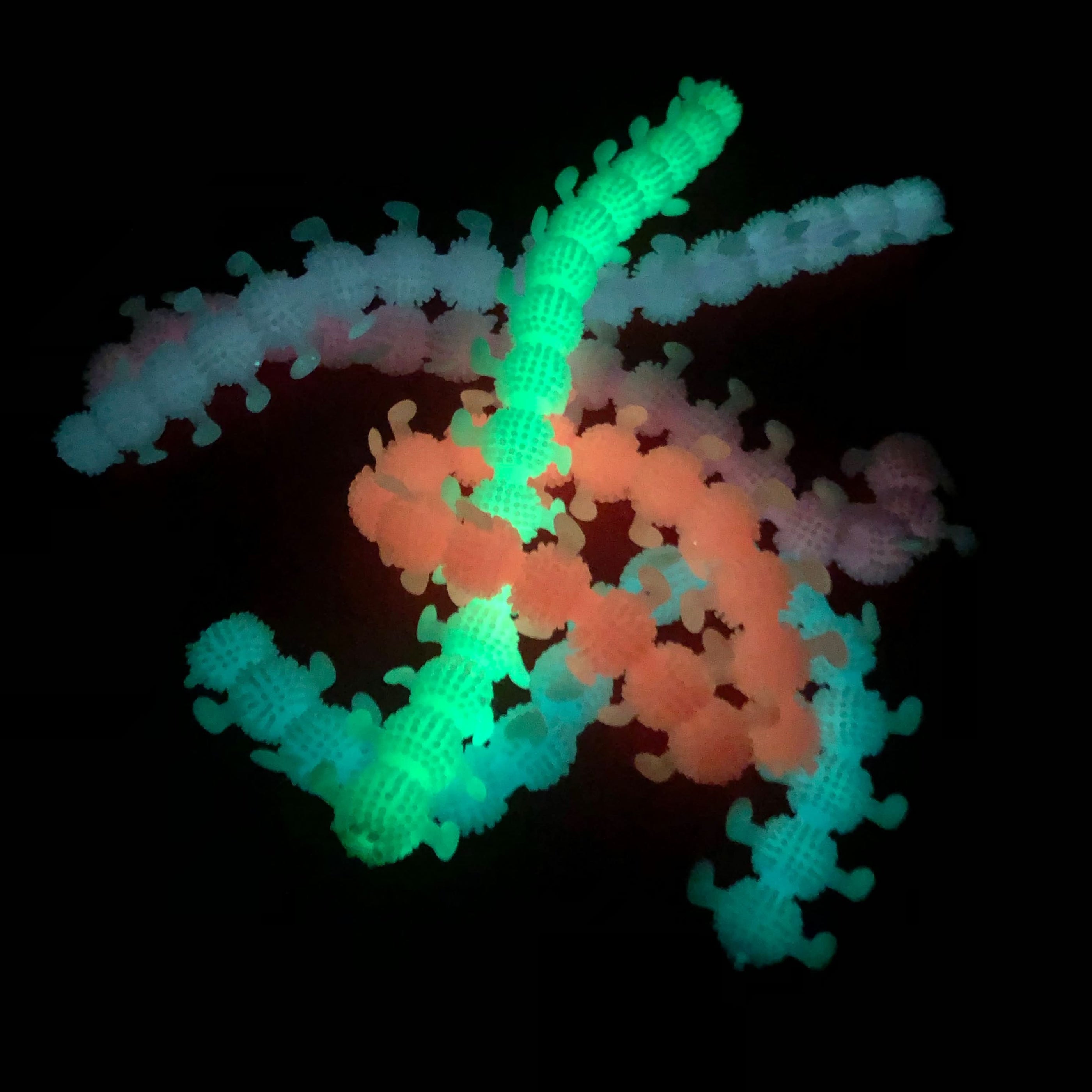 Stretchy Caterpillar 'ARMY' SET — Kaiko Fidgets Australia Pty Ltd